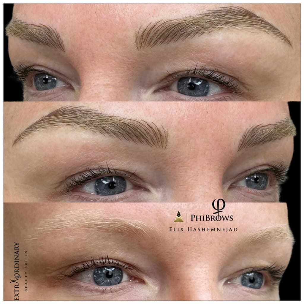 Phibrows Eyebrow Microblading | Latest Permanent Makeup 2025